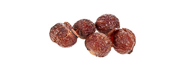 Reetha: Amazing Uses You Don’t Want to Miss – The Henna Guys