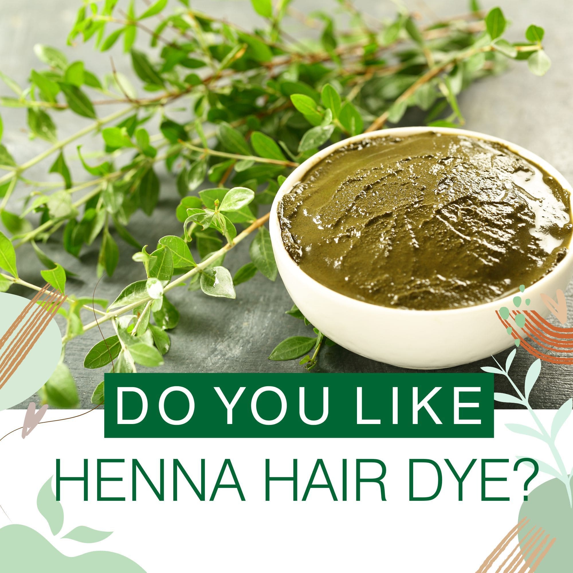 Bold Orders – The Henna Guys